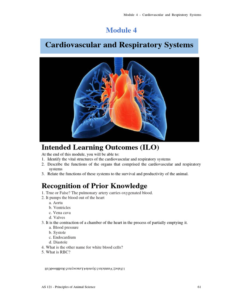 IM AnSci 111 Module 4 | PDF | Heart Valve | Ventricle (Heart)