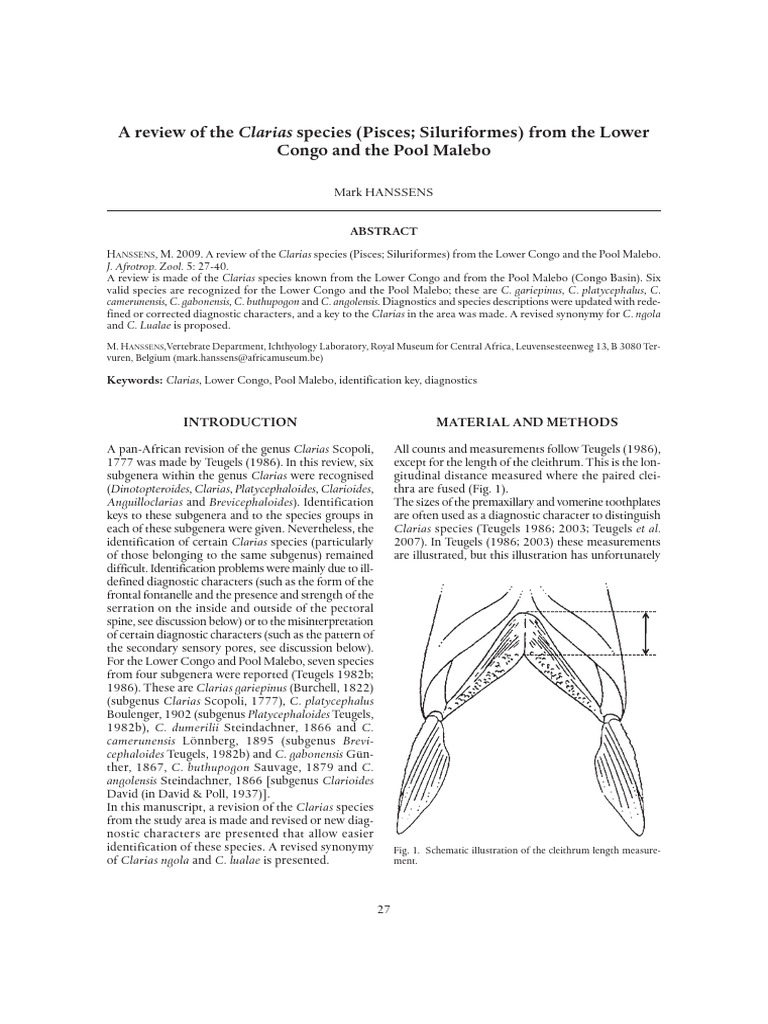 Clarias Species Review in Lower Congo | PDF | Anatomical Terms Of ...