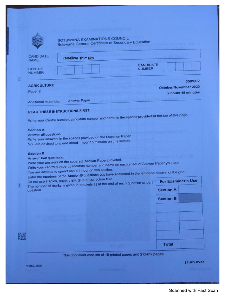2020 Marking Sheme | PDF