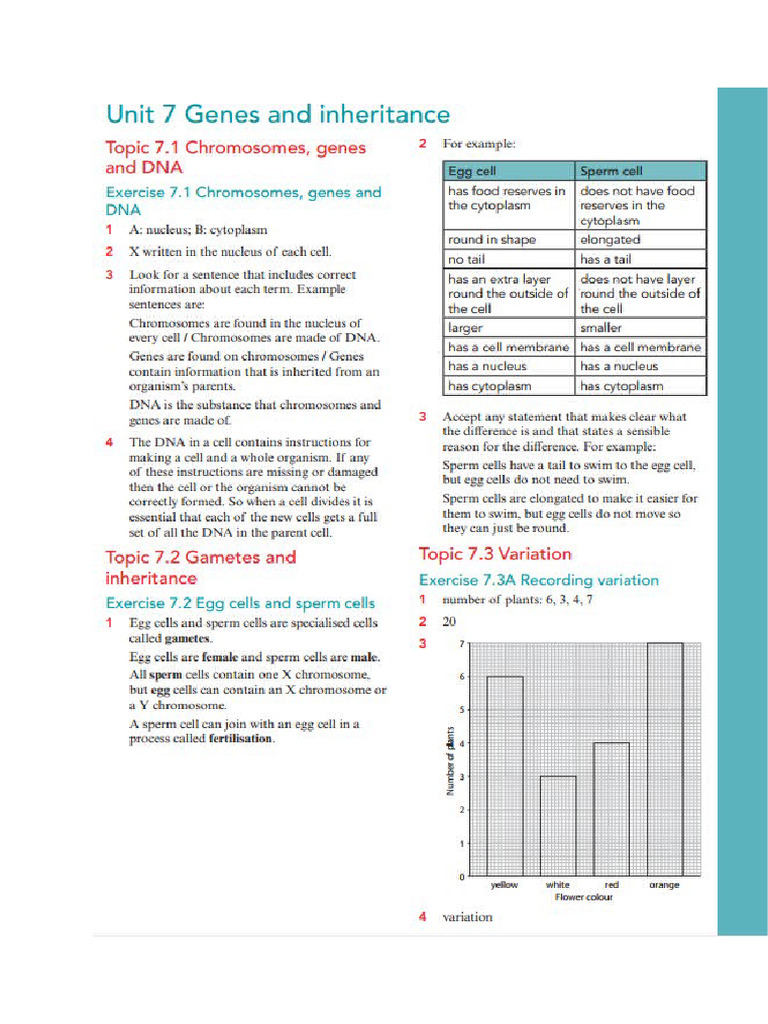 Work Book 7th Unit | PDF