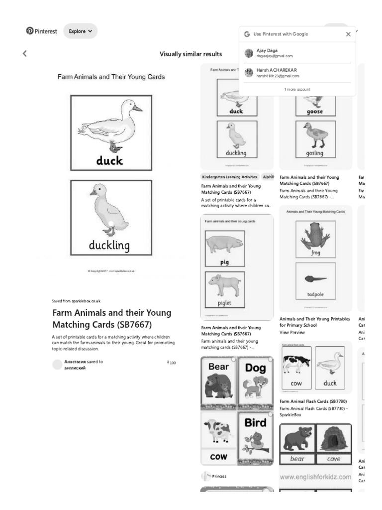 Animals and Their Homes - Animals Home .. | PDF
