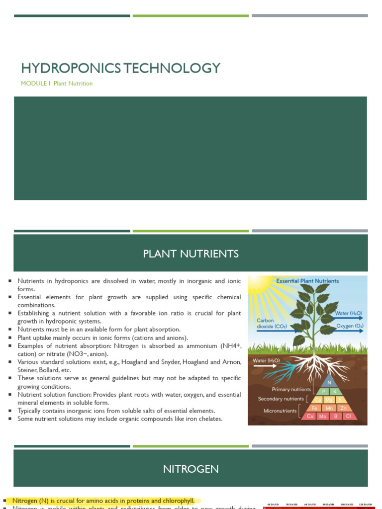 Hydroponics I Plant Nutrition | PDF | Plant Nutrition | Root