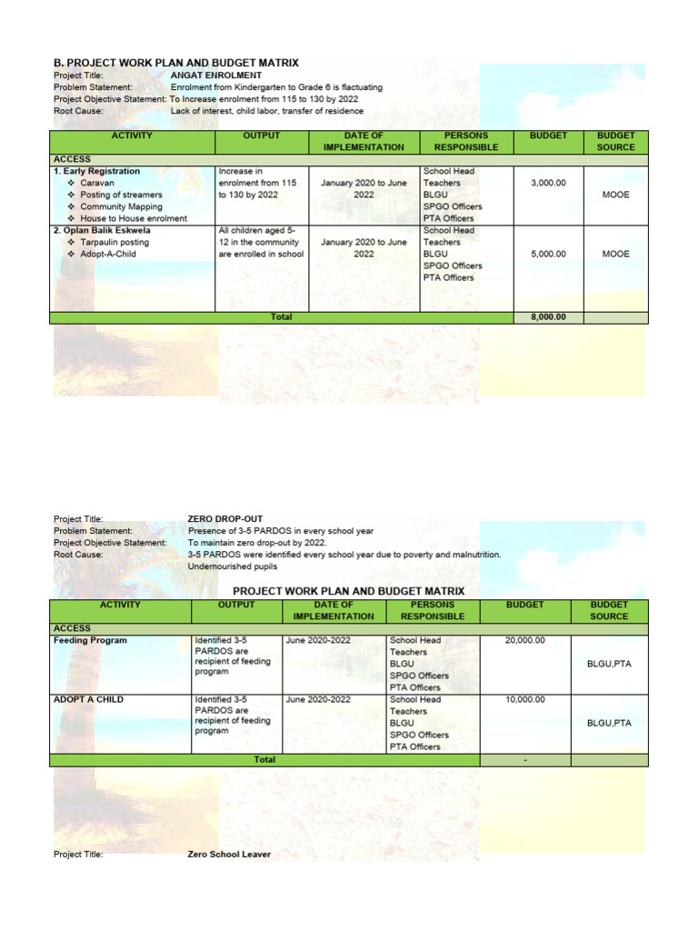 3.B. Project Work Plan and Budget Matrix Copy - 1 | PDF