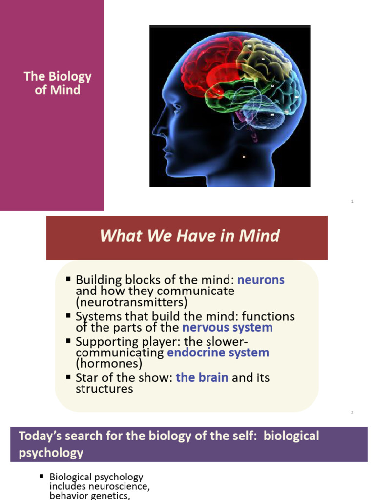 The Biology of MInd | PDF | Neurotransmitter | Synapse