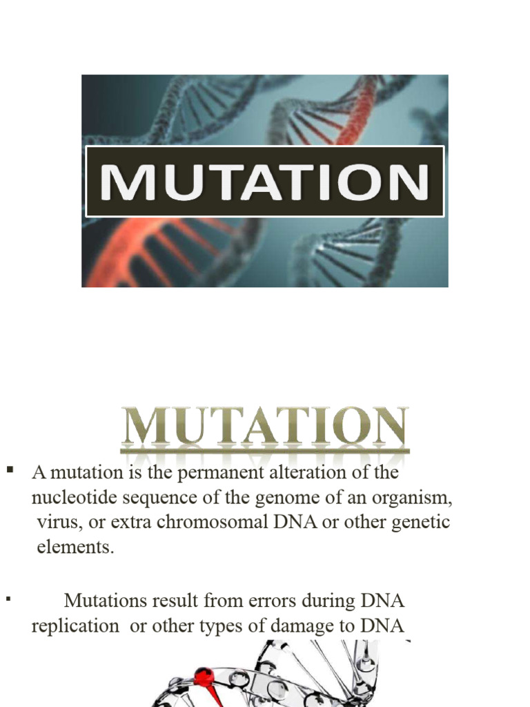 4.2 Mutation | PDF | Point Mutation | Mutation