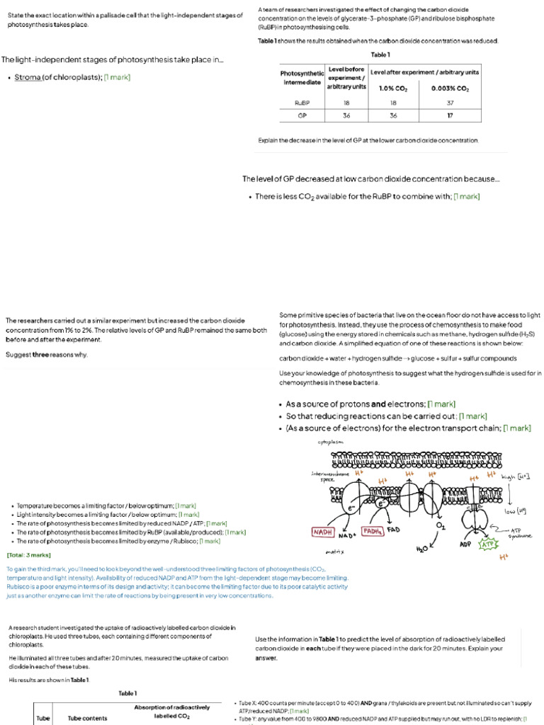 Mor-Gudr-Mro - 3 Mar 2024 | PDF