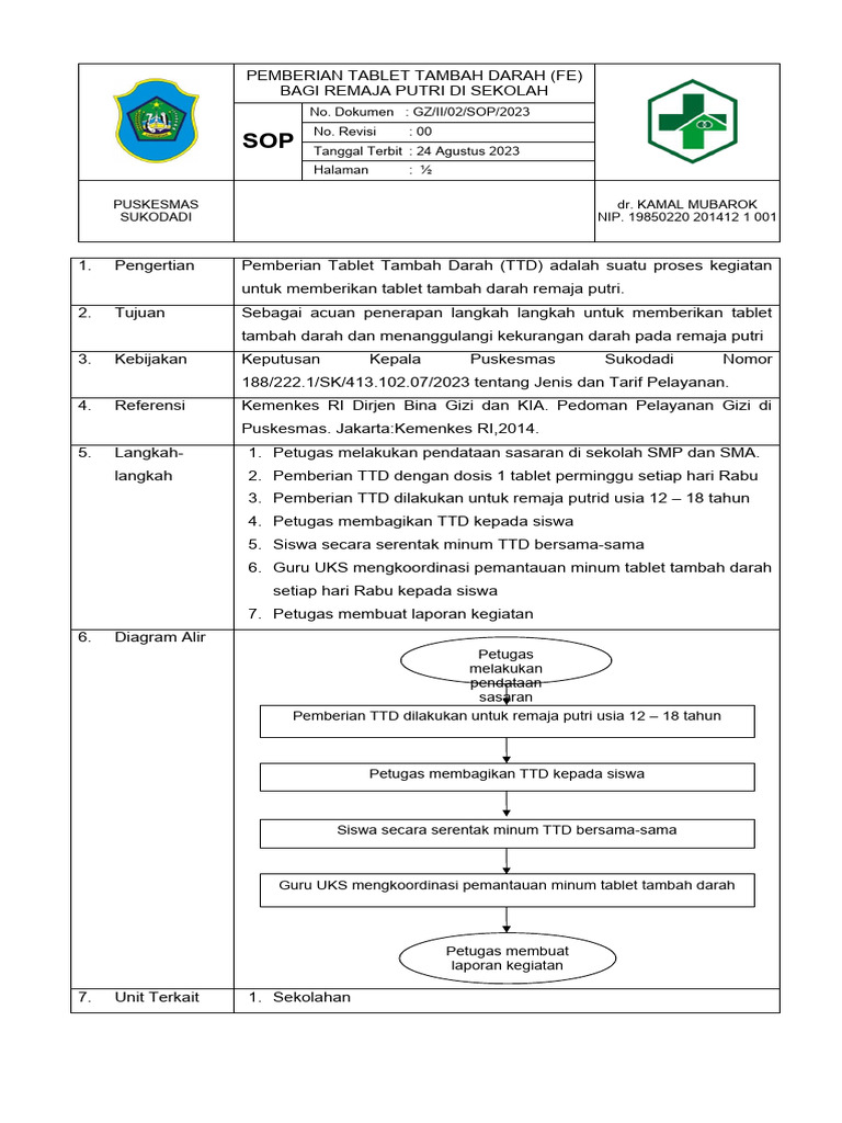 Pemberian TTD untuk Remaja Putri | PDF