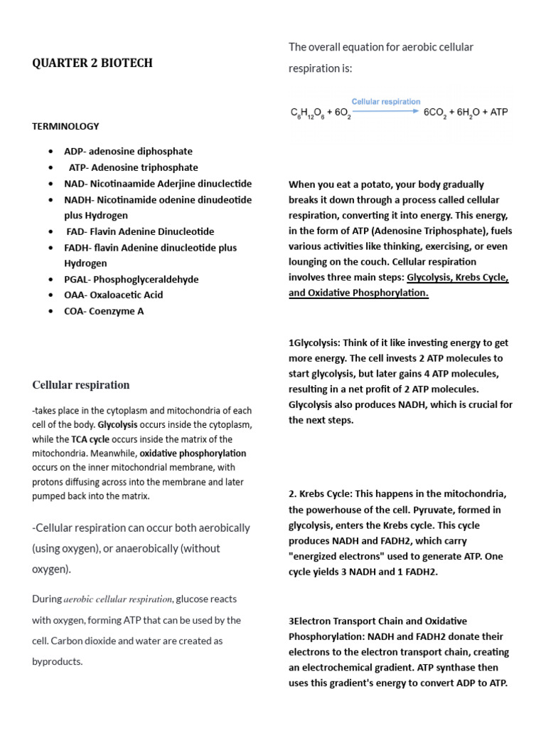 QUARTER-2-BIOTECH | PDF | Cellular Respiration | Adenosine Triphosphate