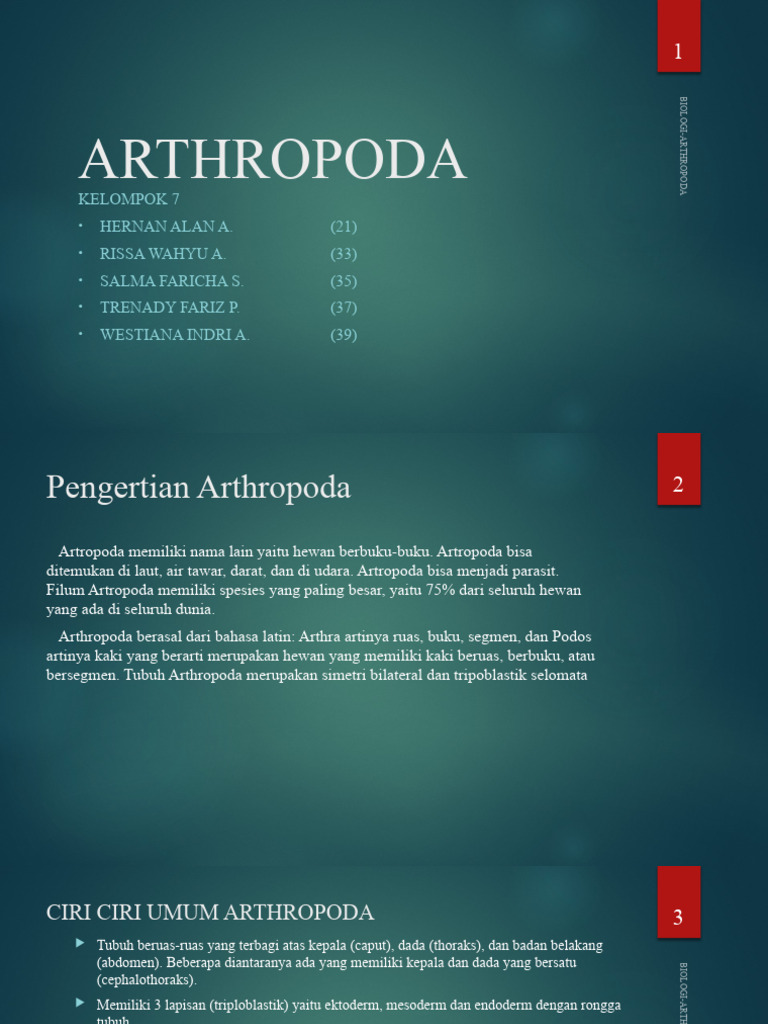 Ciri dan Klasifikasi Arthropoda | PDF
