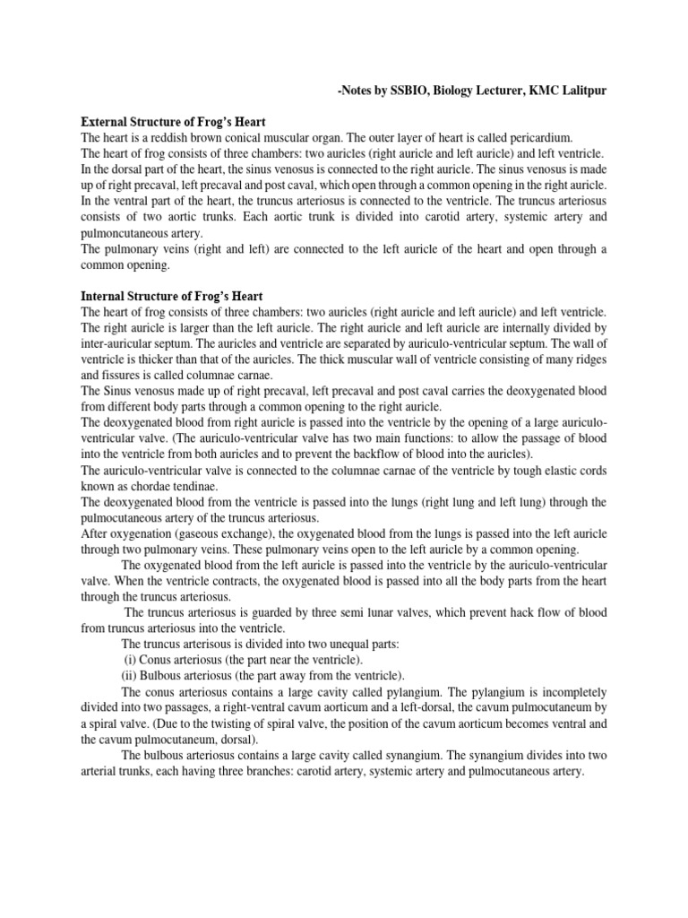 Structure of Frog's Heart | PDF | Atrium (Heart) | Ventricle (Heart)