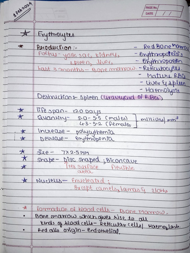 Circulatory System Lecture 3 Pdf