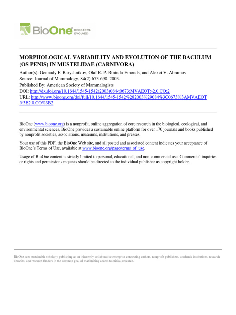 Morphological Variability and Evolution of The Baculum in Mustelidae ...