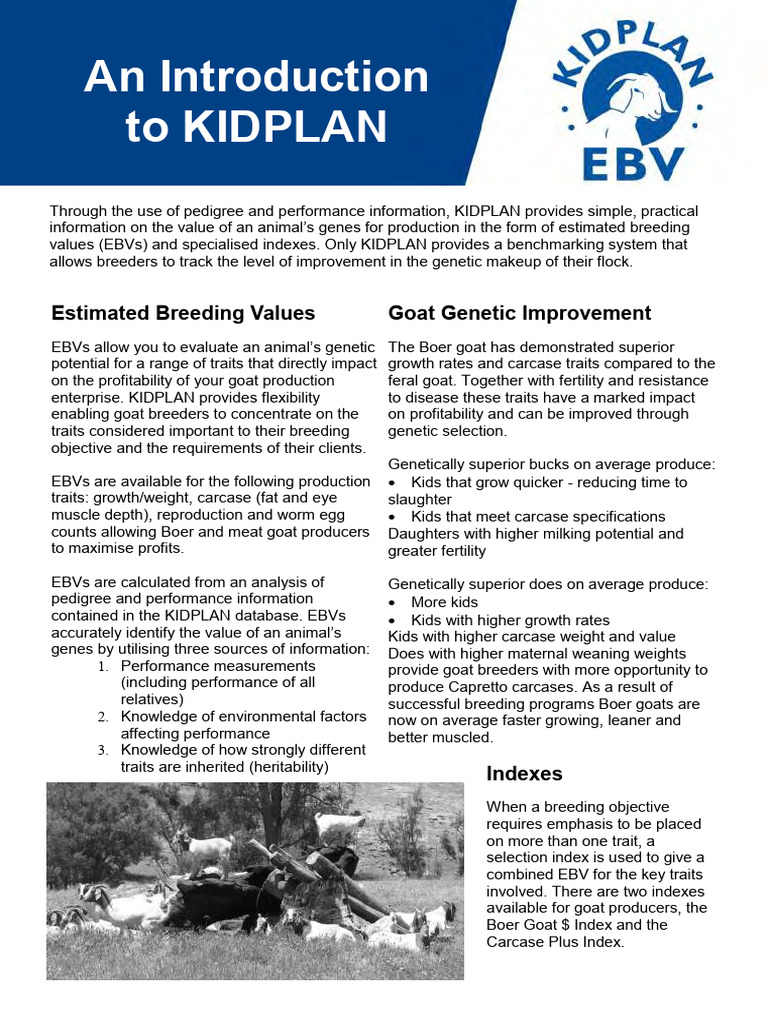 ++ Guide To Kidplan EBVs For Goats | PDF | Goat | Sheep