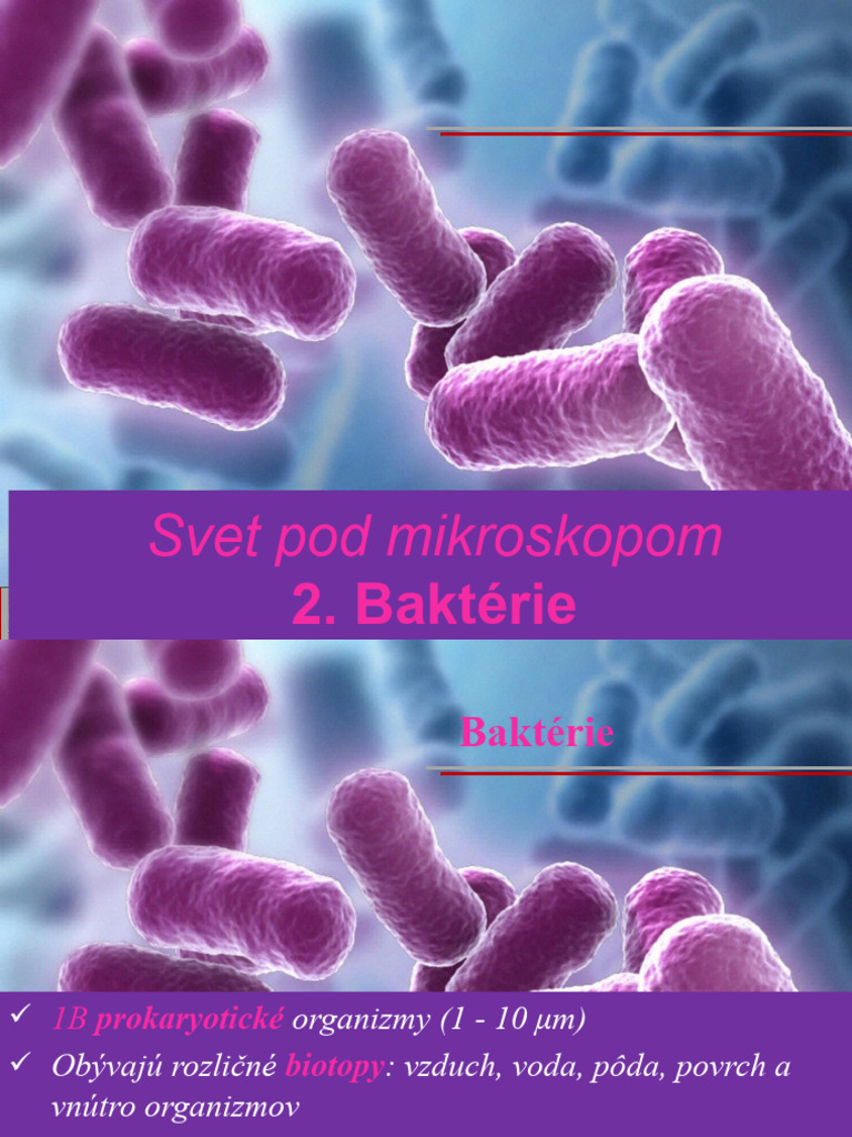 2 Baktérie | PDF