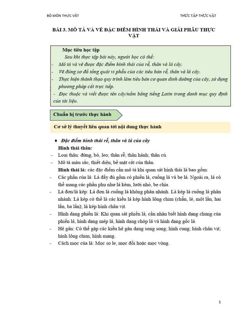 Hướng Dẫn Thực Tập Thực Vật Bài 03 | PDF