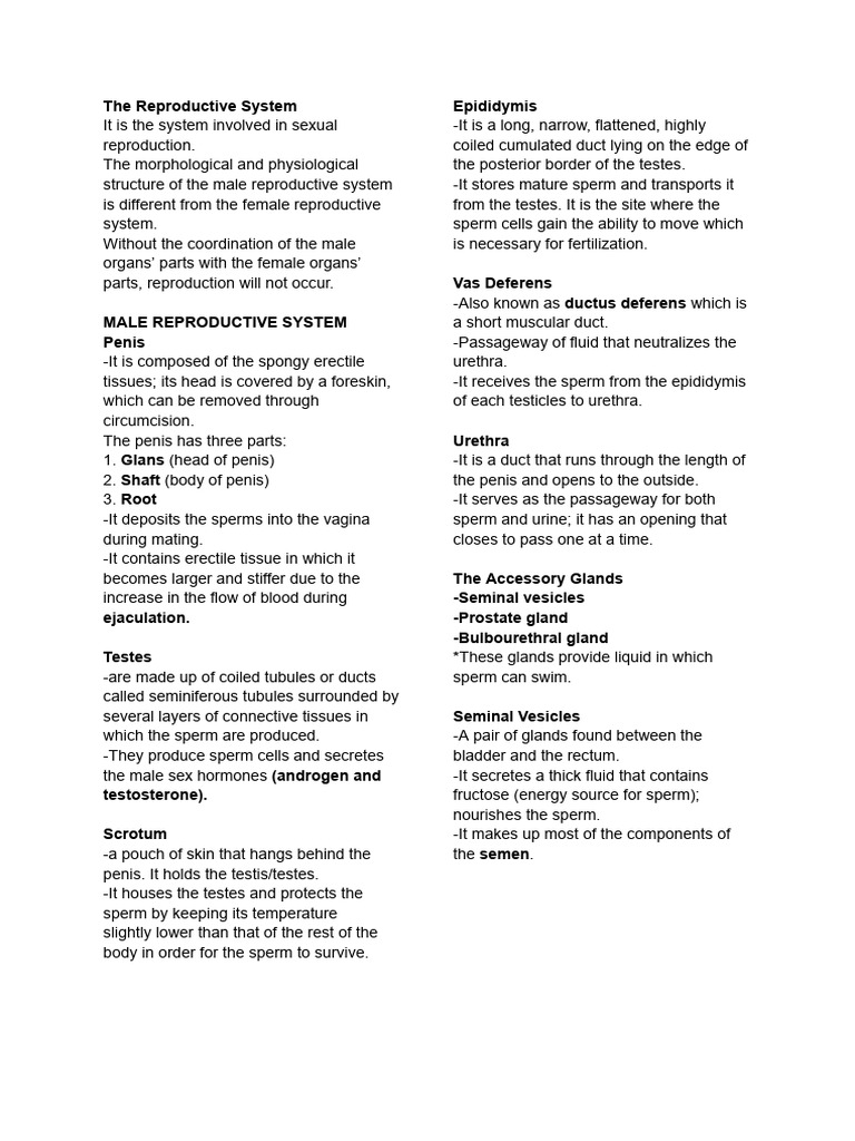 G10 3RD Quarter Science | PDF | Luteinizing Hormone | Menstrual Cycle