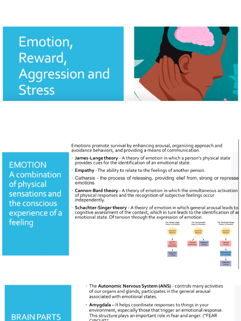 Physio Psych Full Reviewer MIDTERM | PDF