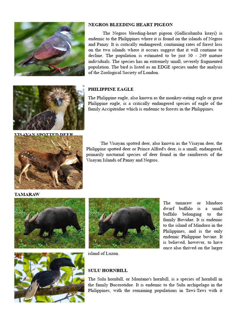 Endemic Endangered Species of the Philippines | PDF