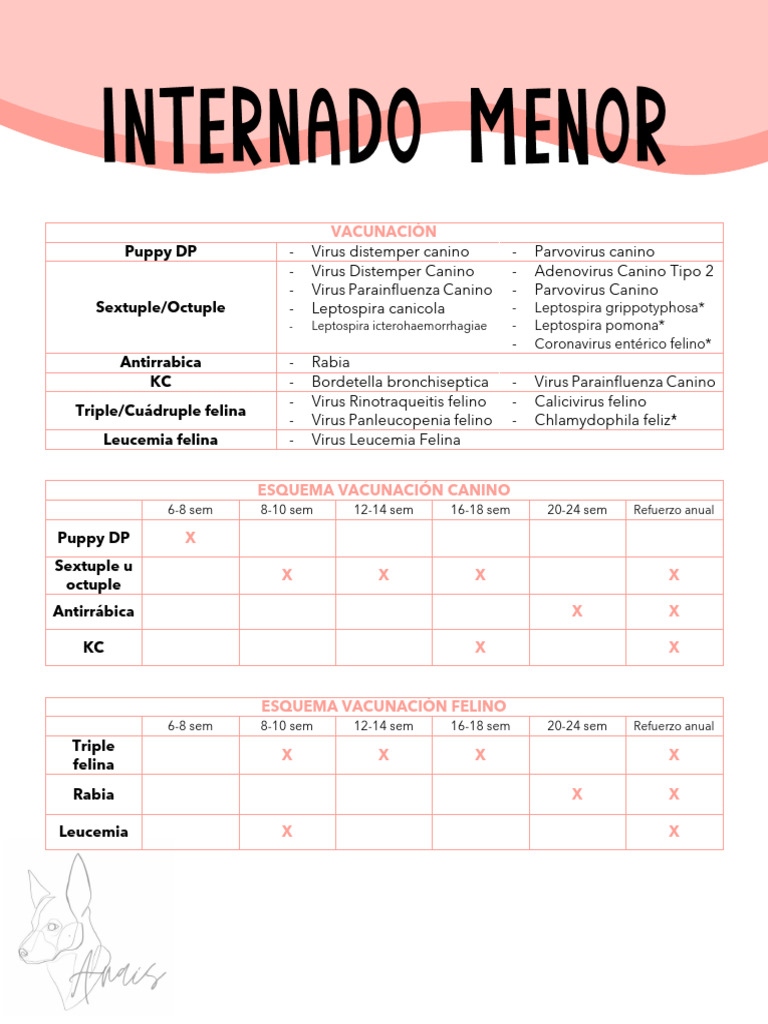 Prueba Internado Veterinaria | PDF | Sangre | Drogas