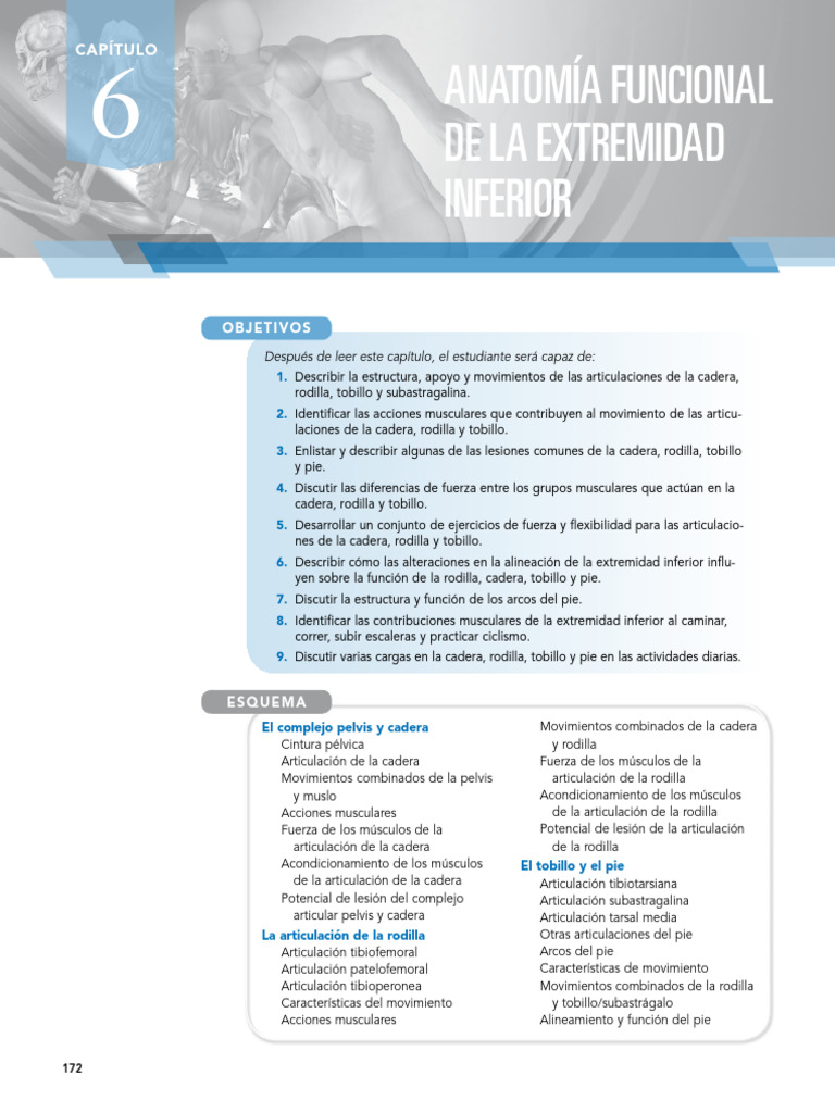 Extremidad Inferior Hamill | Descargar gratis PDF | Pelvis | Articulación