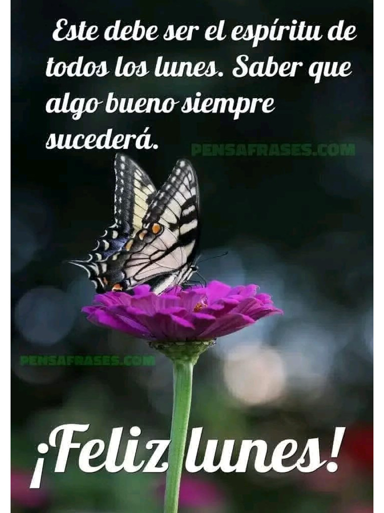 Image to pdf 02-abr-2024 | PDF