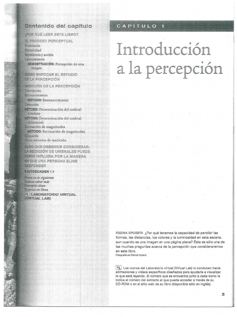 3. GOLDSTEIN Sensación y percepción Cap 1 Introducción a la Percepción | PDF