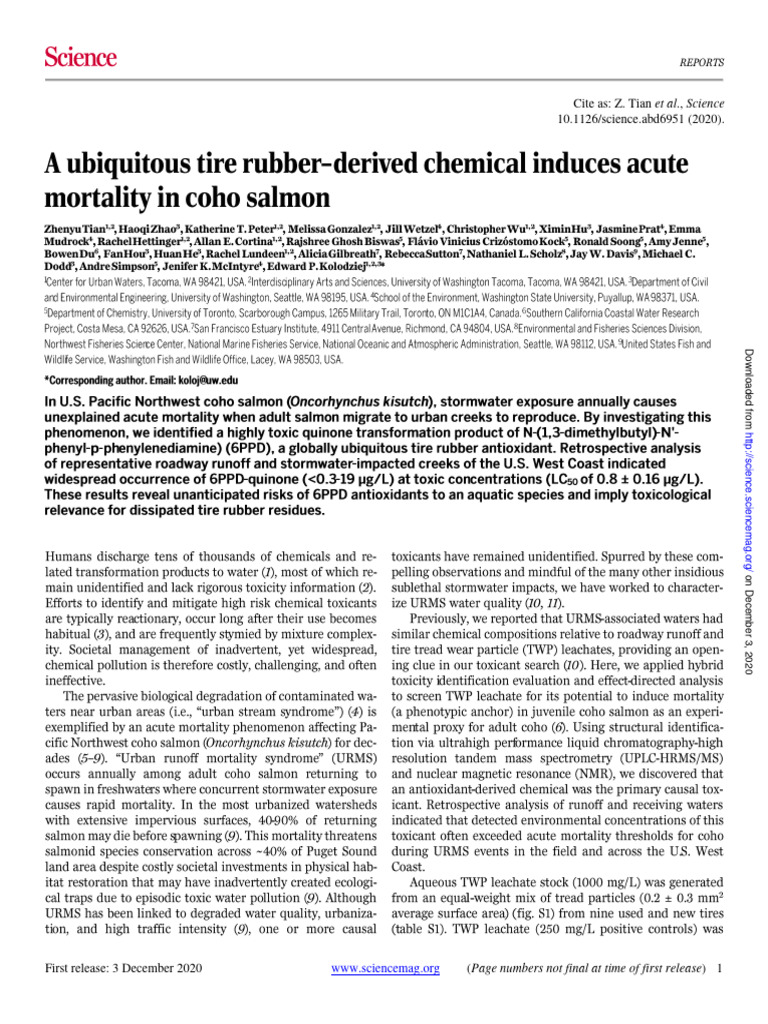 2020 - Report - A ubiquitous tire rubber–derived chemical induces acute mortality in coho salmon ...