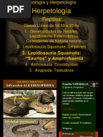 Clasificación de Anápsidos y Diápsidos | PDF | Serpiente | Reptil