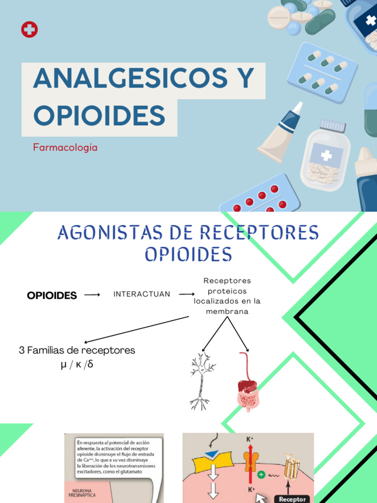 Analgesicos y Opioides | PDF | Opioide | Analgésico