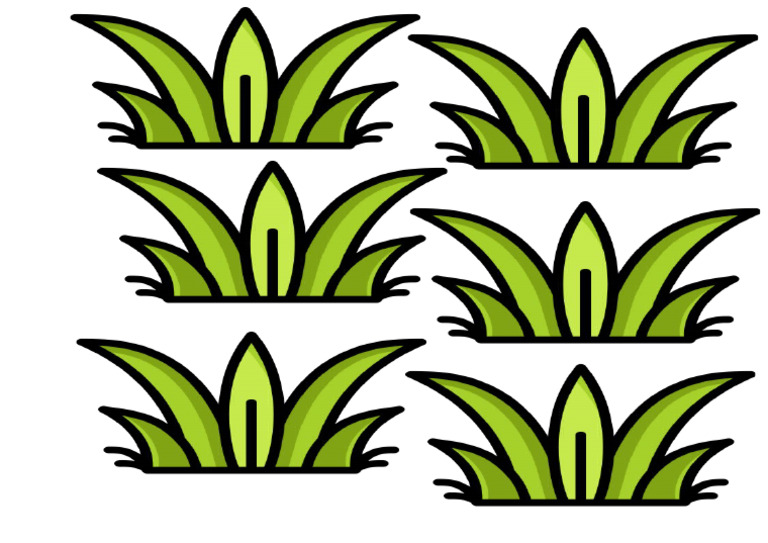 Grass | PDF