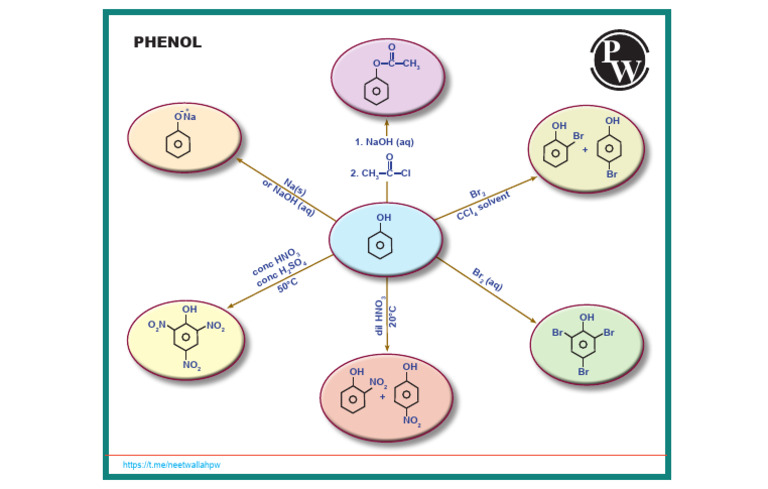 Phenol : Mind Maps | PDF