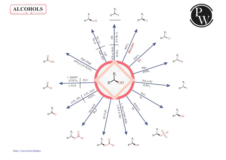 Alcohols: Mind Maps | PDF