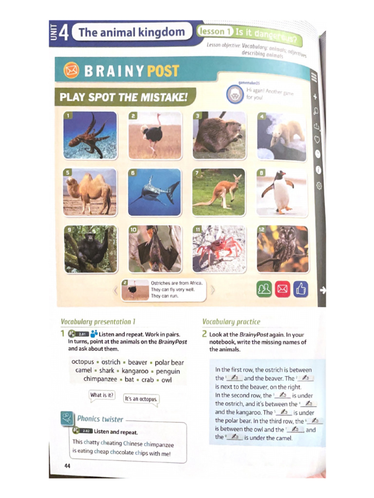 34 The Animal Kingdom | PDF