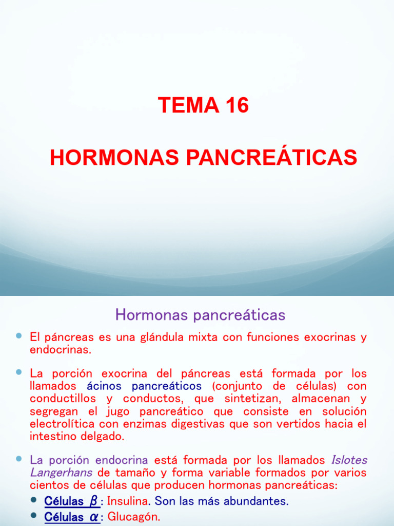 Tema 16 Pancreas Endocrino | PDF | Insulina | Páncreas