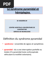 Syndrome pyramidal : définitions et signes | PDF | Nerf | Accident ...