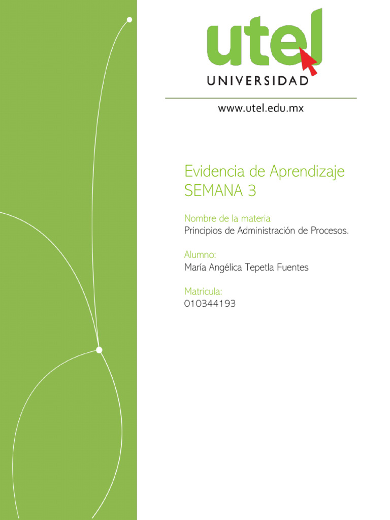 Principios de Administración de Procesos - EA - S3 - P | PDF | Business