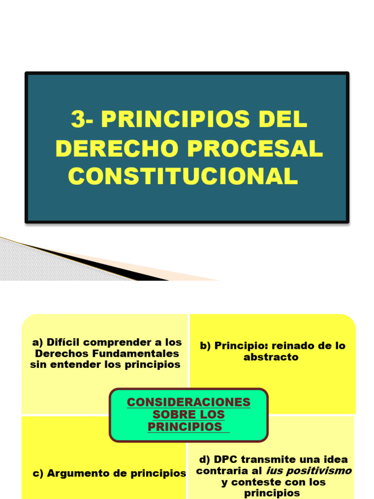 3 - Principios Del DPC | PDF | Juez | Justicia