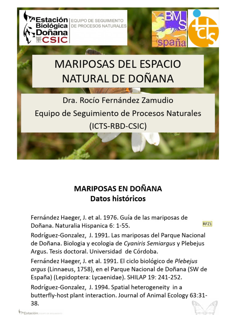 Mariposas Singulares de Doñana | PDF | Biología | Ciencias Naturales