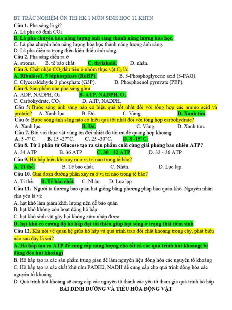 ÔN THI HK 1 SINH HỌC 11 | PDF