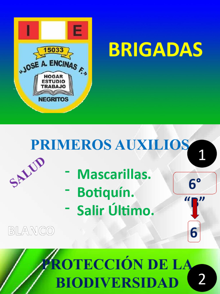 Diapos Brigadas | PDF