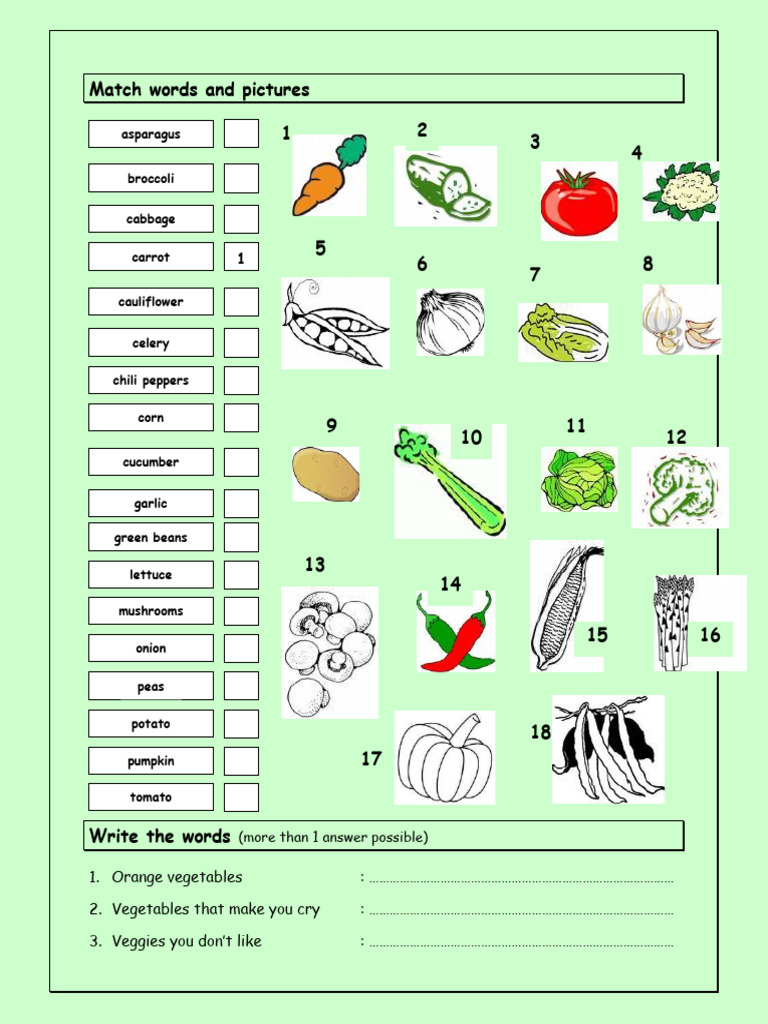 Vocabulary Matching Worksheet Vegetables Fun Activities Games - 3922 | PDF