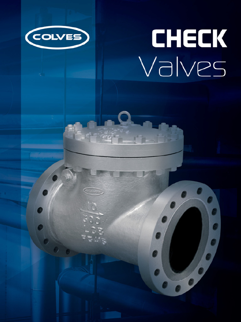 Check Valves | PDF | Valve | Mechanical Engineering