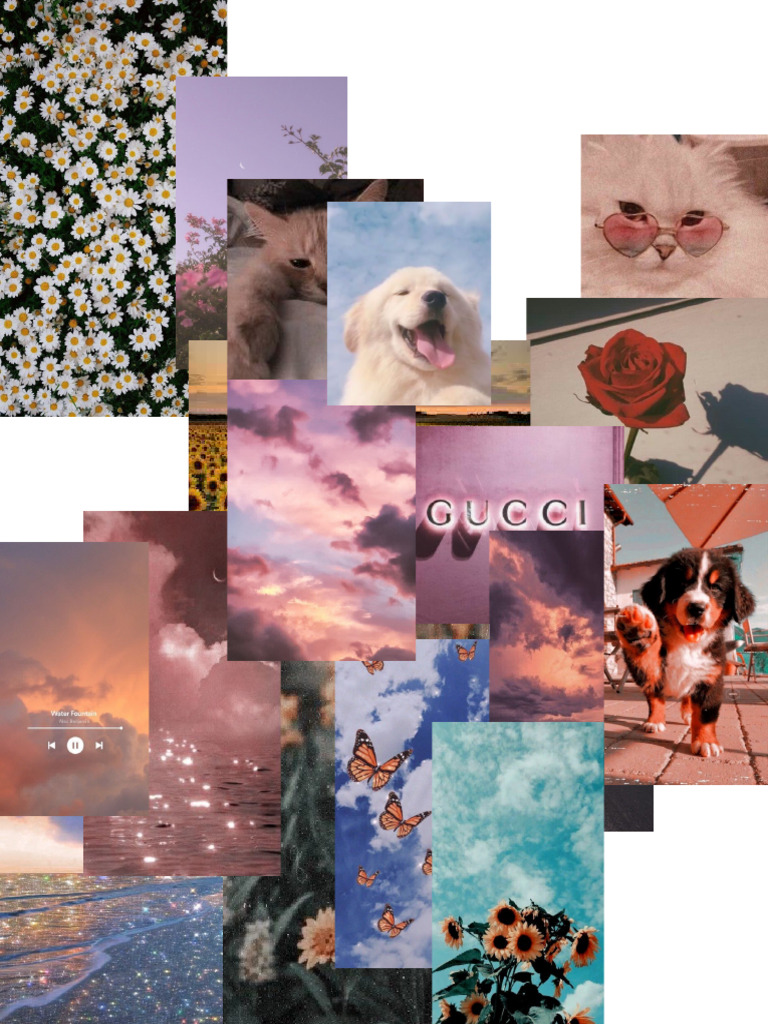 Wallpaper Aethetic | PDF