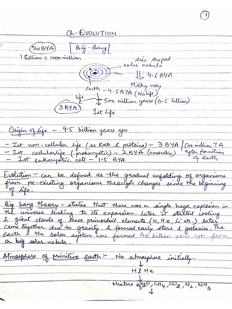 Notes Evolution Pdf