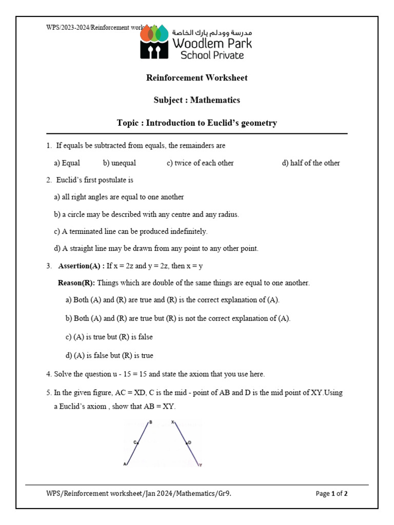 Practice worksheet (Euclid's Geometry) | PDF