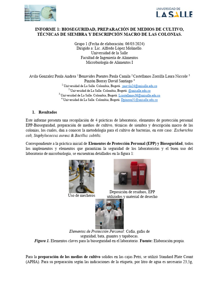 Informe micro 1 | PDF | Las bacterias | Laboratorios