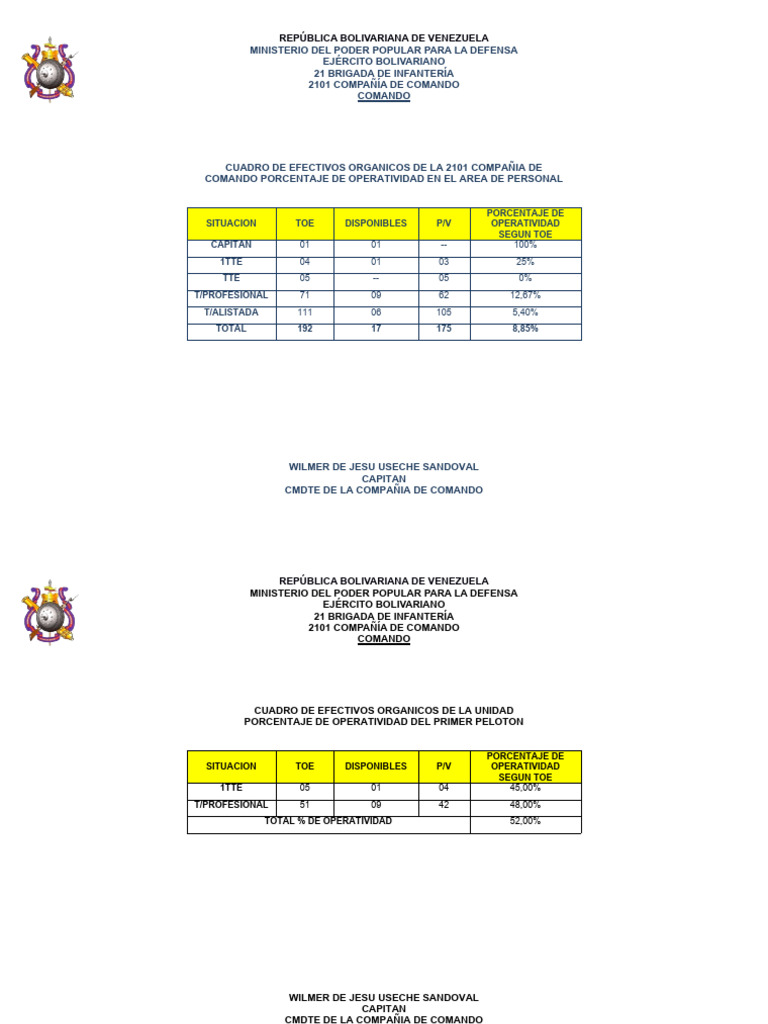 Efectivos y Operatividad en Compañías de Comando | PDF | Ciencia ...