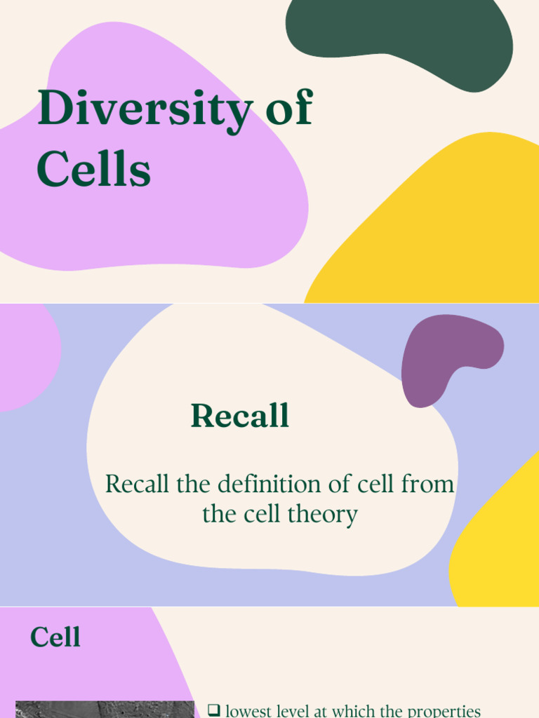 Cell 2 | PDF