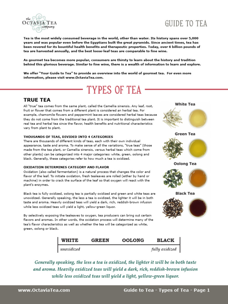 Guide To Tea Octavia Tea | PDF | Caffeine | Tea