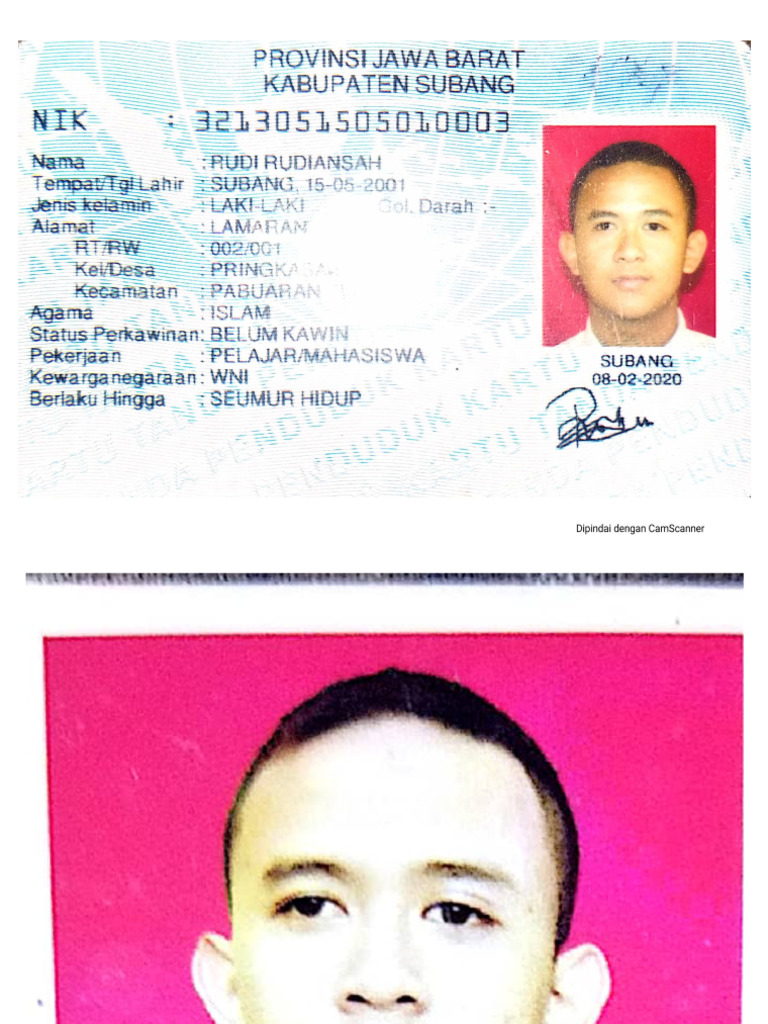 CV Scan Foto | PDF